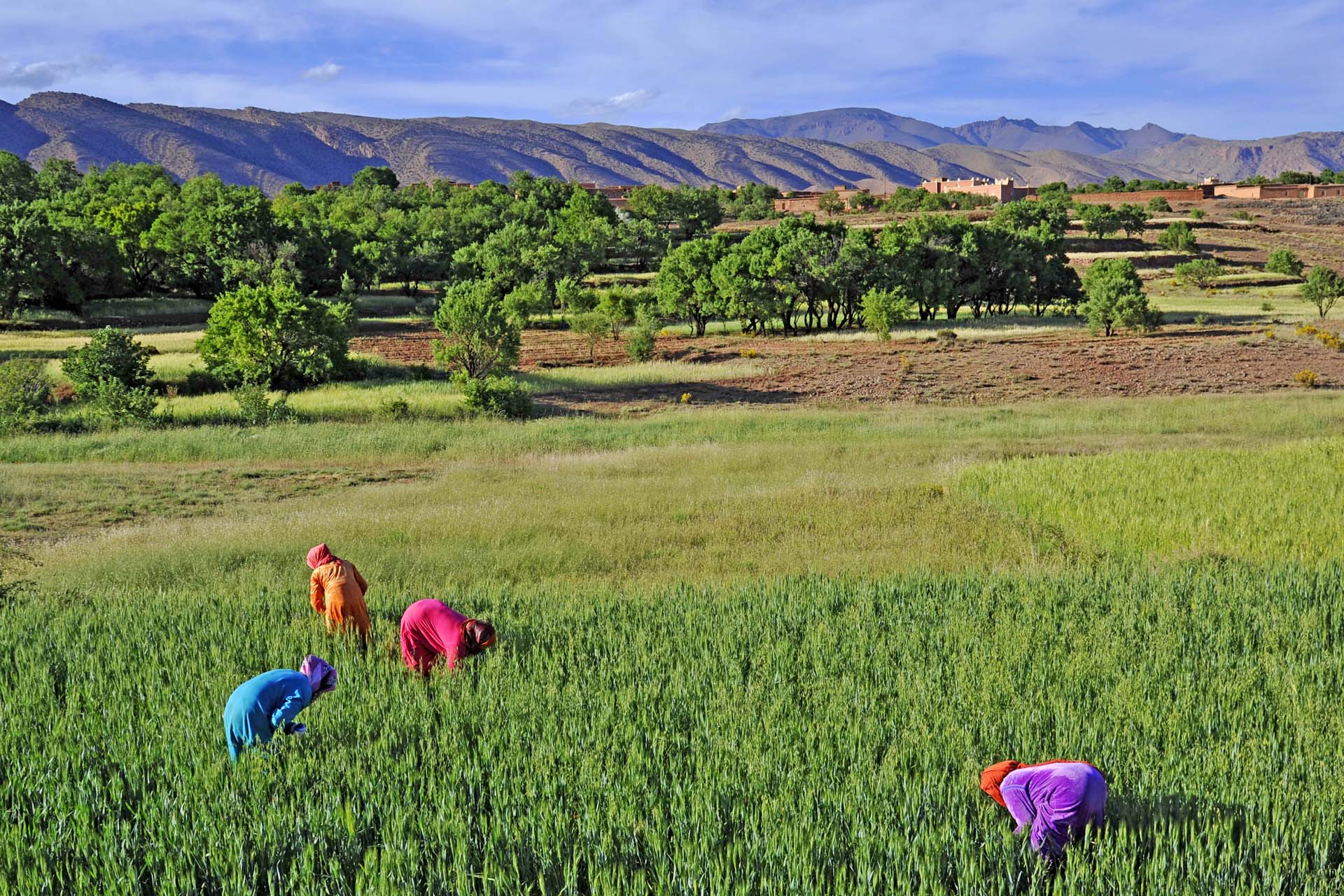 What Is Sustainable Agriculture And Why Is It Important Updated 2022